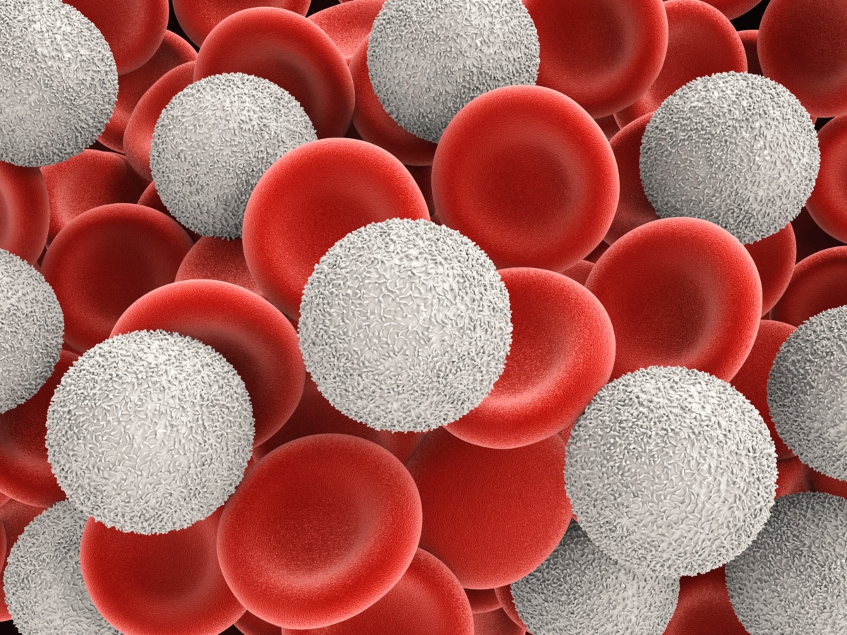 The Role of Hyaluronic Acid in Wound Healing - botiss biomaterials GmbH The Role of Hyaluronic Acid in Wound Healing - botiss biomaterials GmbH